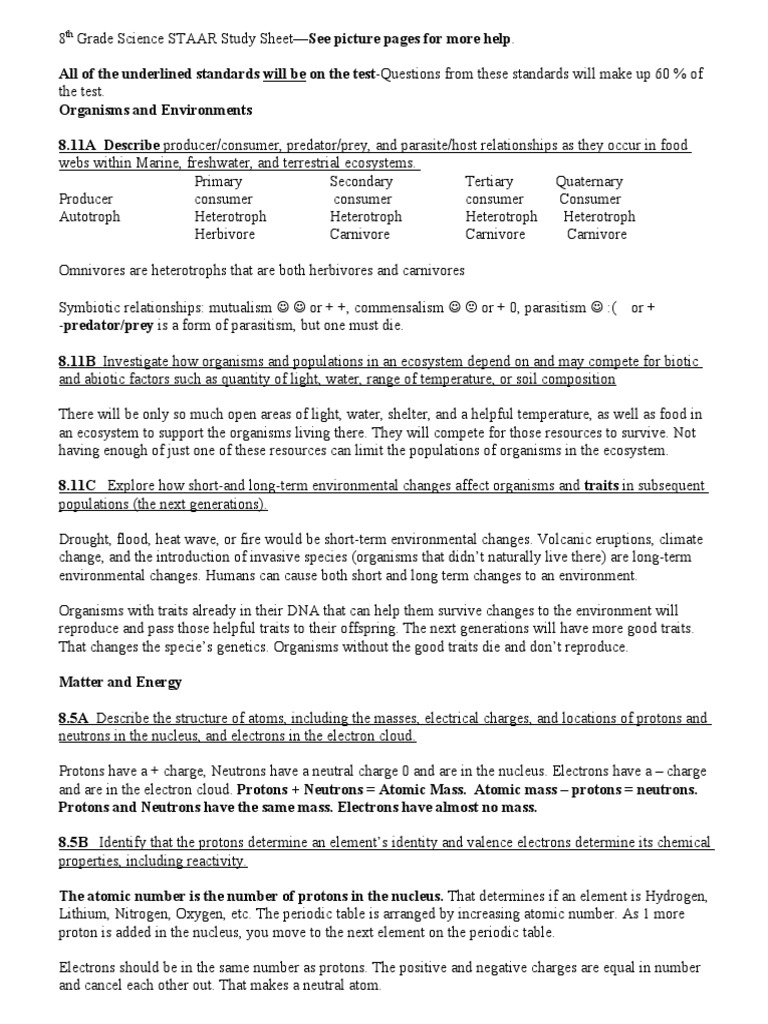 8th Grade Science Staar Study Sheet | PDF | Proton | Cell (Biology)