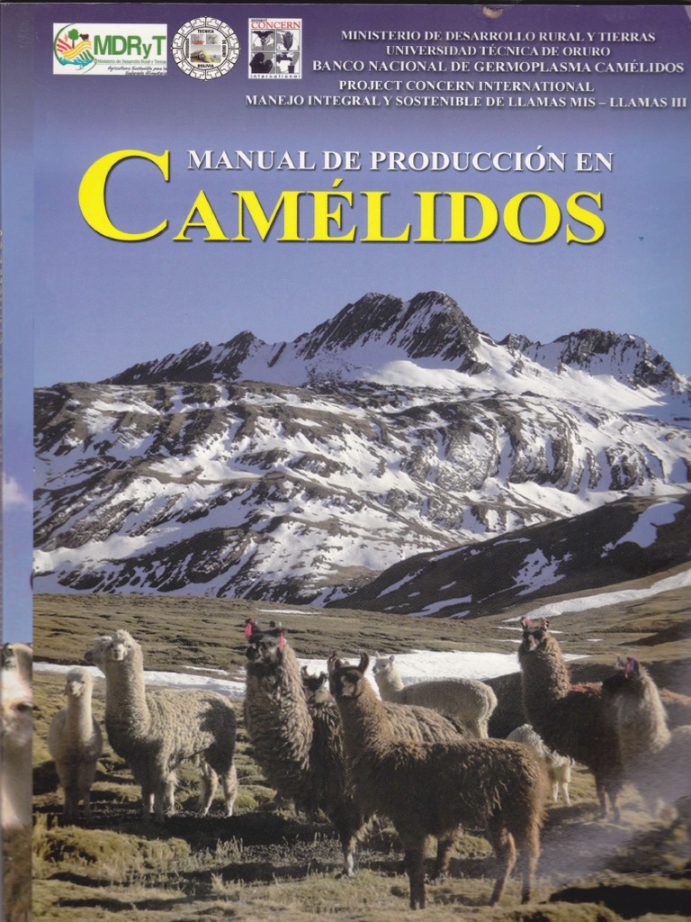 CAMELIDOS 1ra PARTE PDF | PDF | Agricultura | Naturaleza