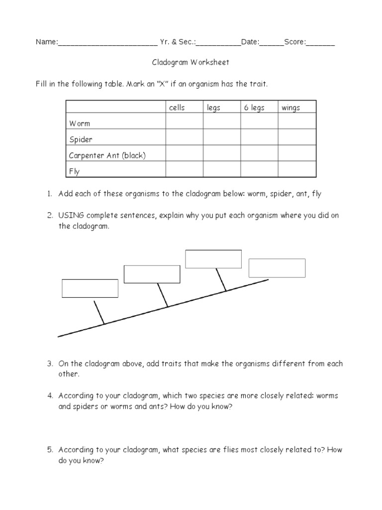 Cladogram Worksheet | PDF | Organisms | Nature
