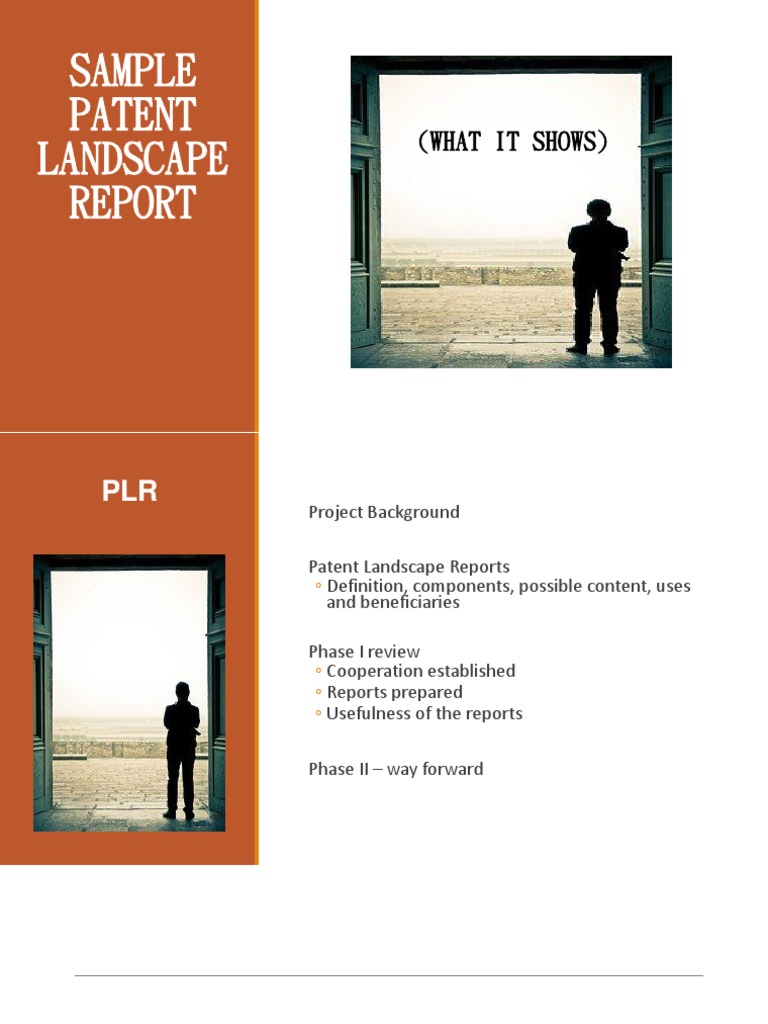 Sample Patent Landscape Report | PDF | Desalination | Patent