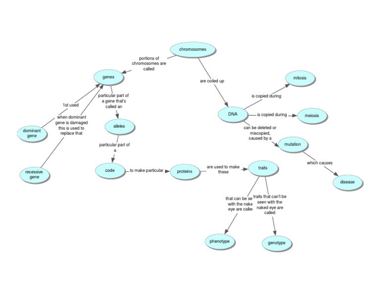 3 3 1 Genetic Terms Concept Map | PDF