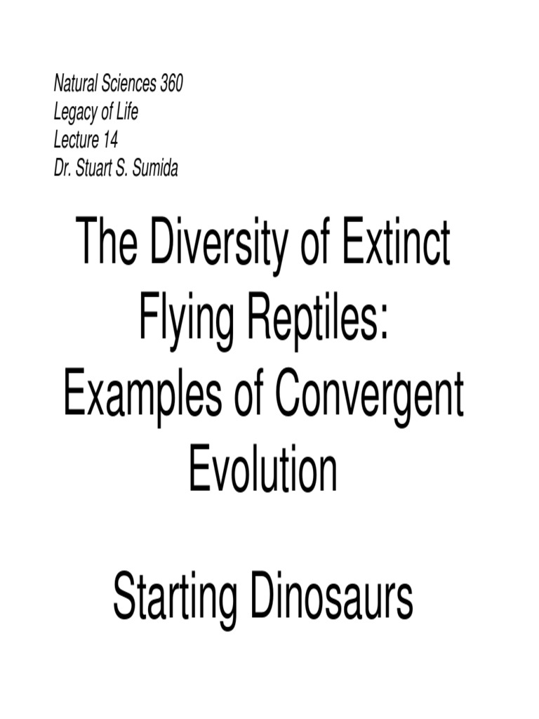 The Diversity of Extinct Flying Reptiles: Examples of Convergent ...