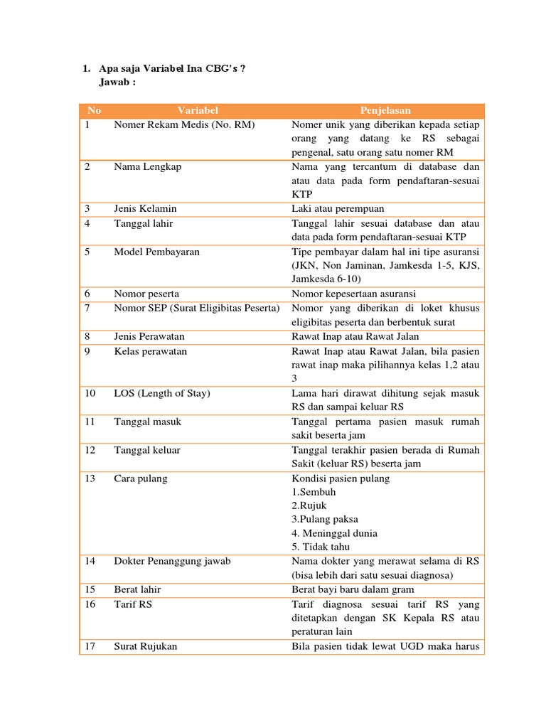 Variabel Ina Cbgs Dan Gambaran Proses Bisnis JKN | PDF