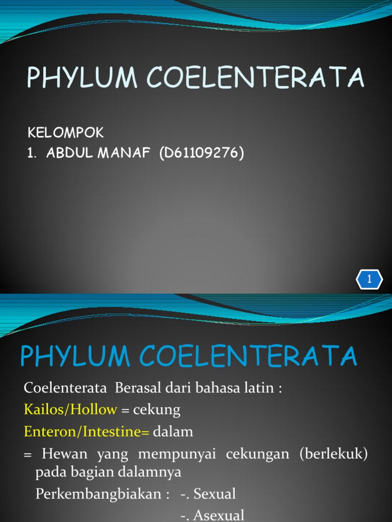 Coelenterata | PDF