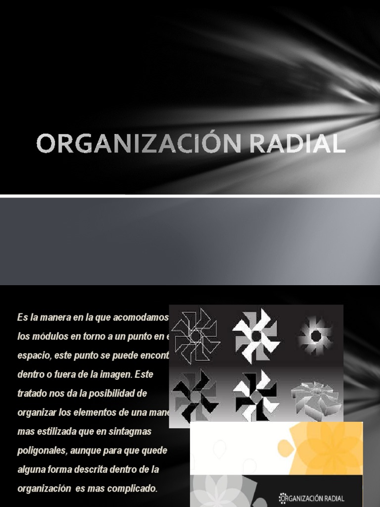 Organización Radial | PDF | Crecimiento personal y profesional