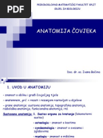 Anatomija - Knjiga PDF | PDF