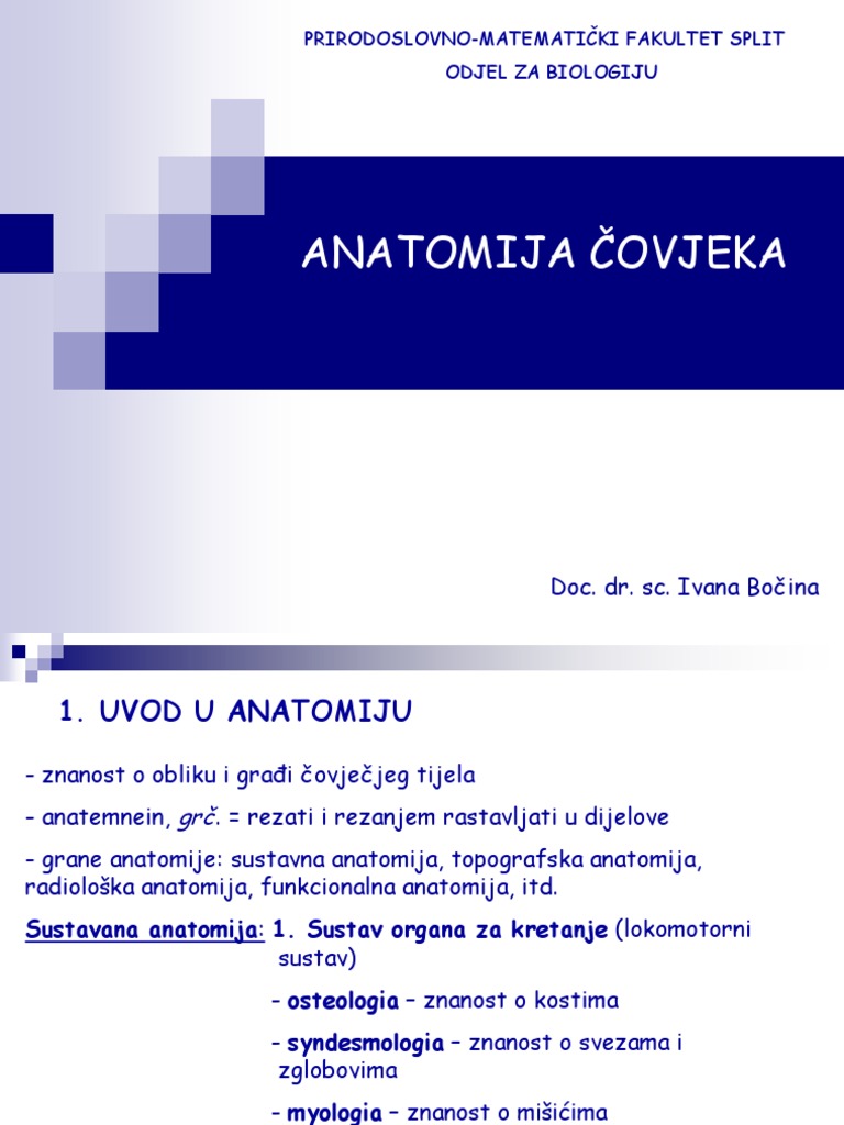 Uvod U Anatomiju, Osteologia - Kosti Glave | PDF