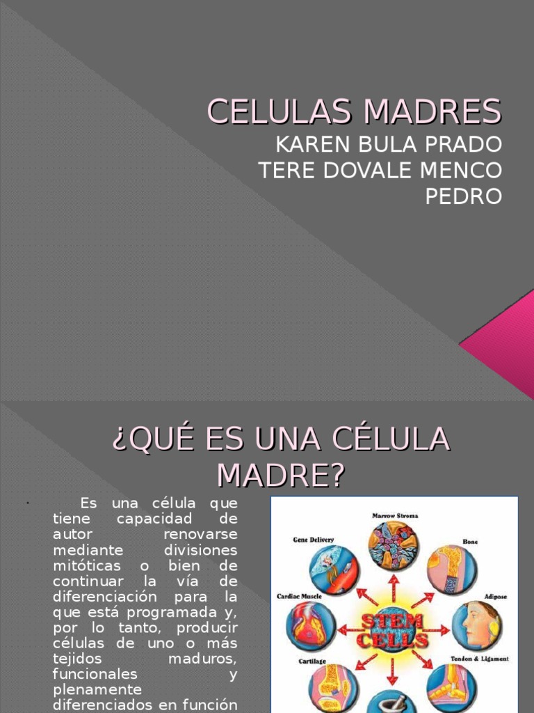 Celulas Madres | PDF | Célula madre | Biología del desarrollo
