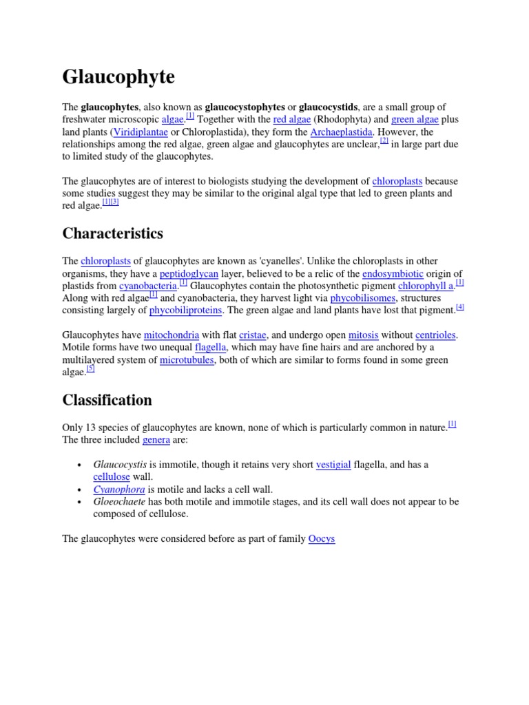 Glauco Phy Te | PDF | Home & Garden | Wellness