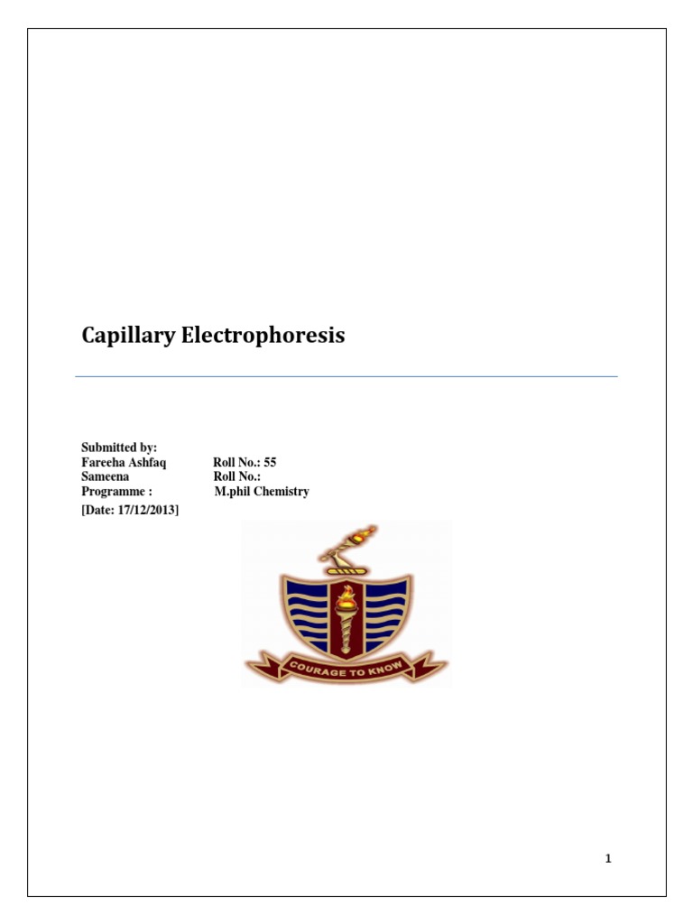 Capillary Electrophoresis | PDF | Capillary Electrophoresis | Gel ...