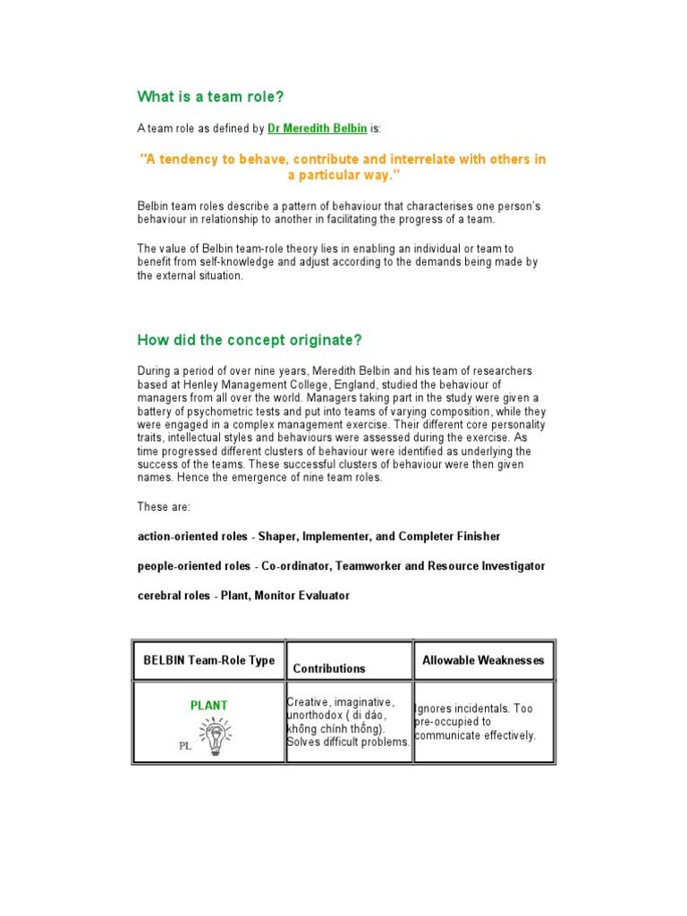 Belbin Intro | PDF | Validity (Statistics) | Psychometrics