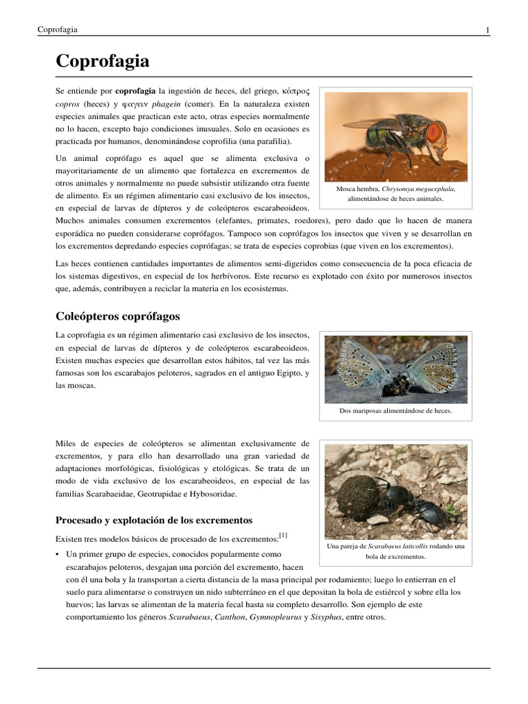 Coprofagia | Zoología | Animales y humanos