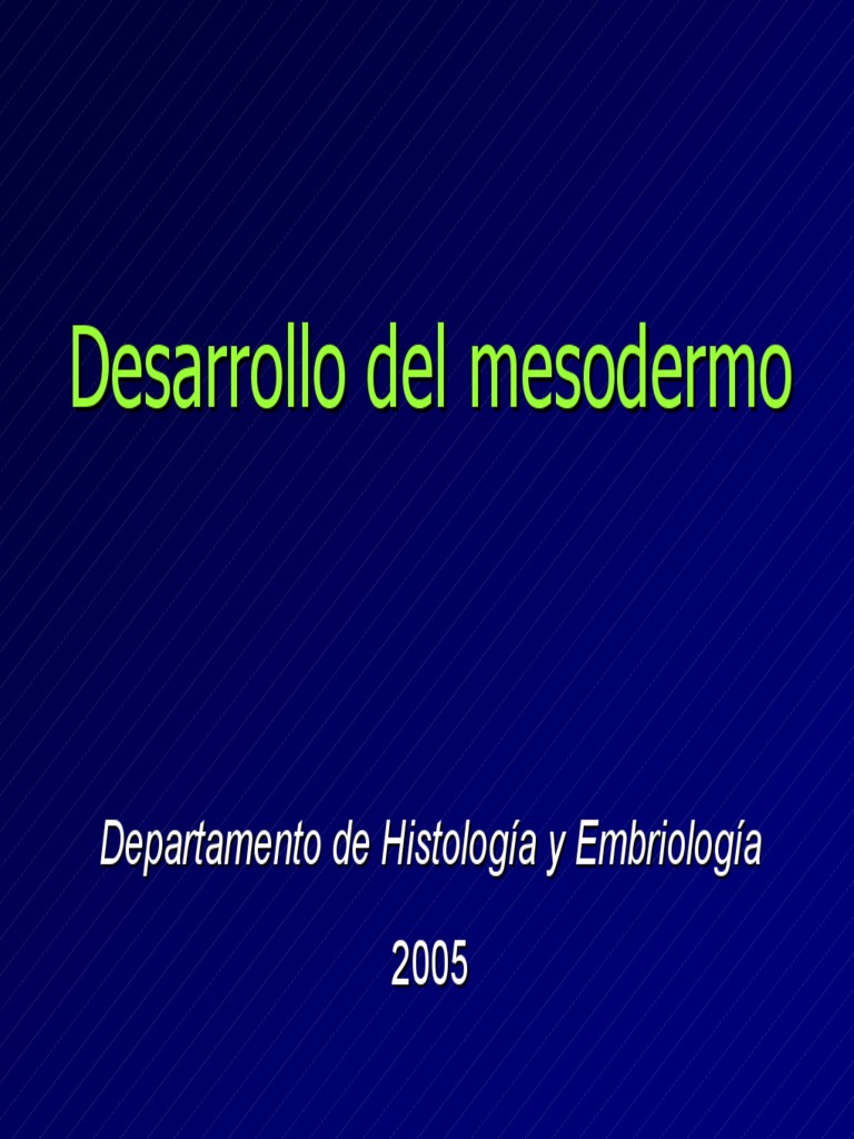Desarrollo Mesodermo | PDF | Biología del desarrollo | Anatomía