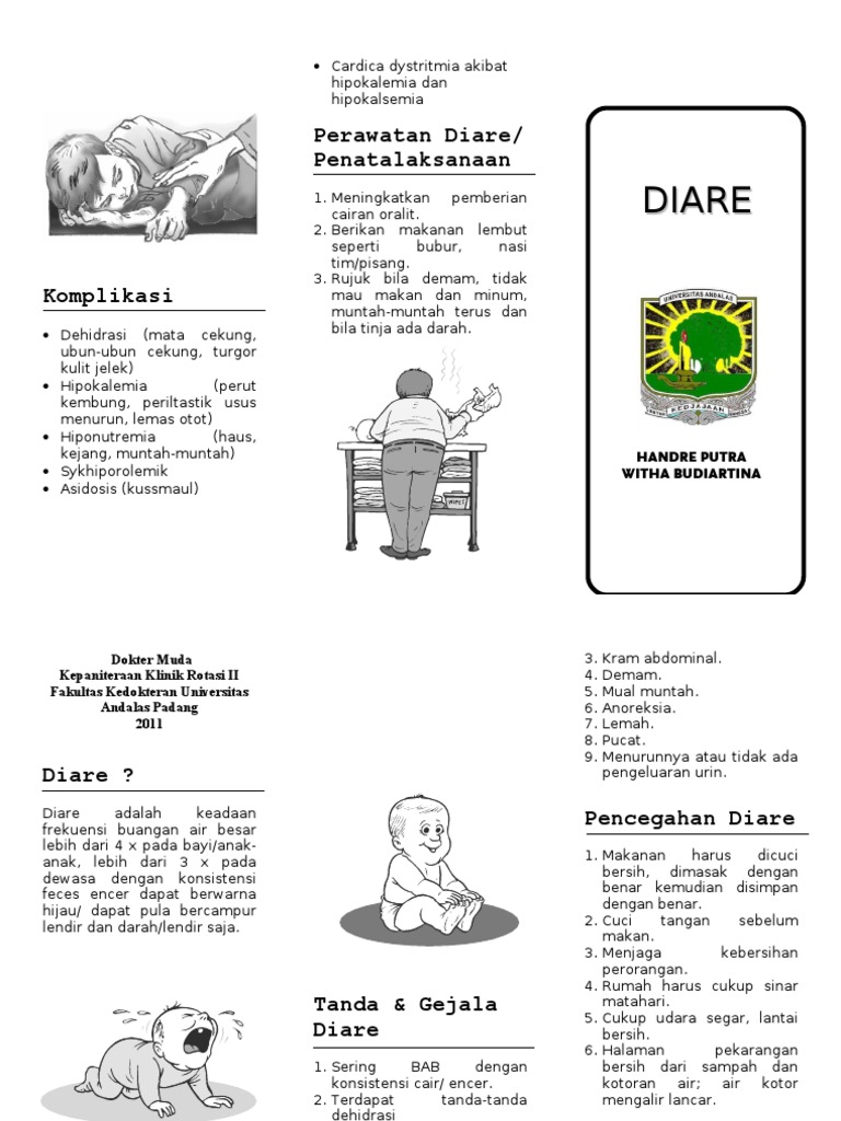 Leaflet Diare | PDF