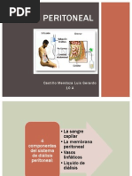 Vía de Administración Intraperitoneal | PDF | Peritoneo | Absorción ...