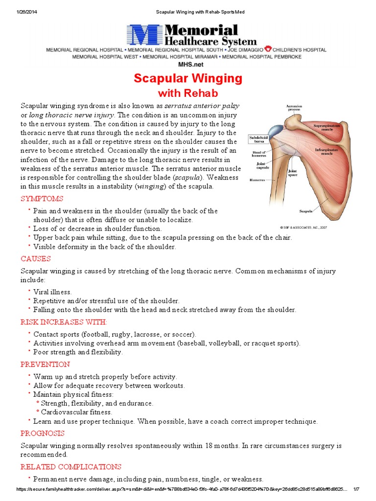 Scapular Winging With Rehab-SportsMed | Shoulder | Anatomical Terms Of ...