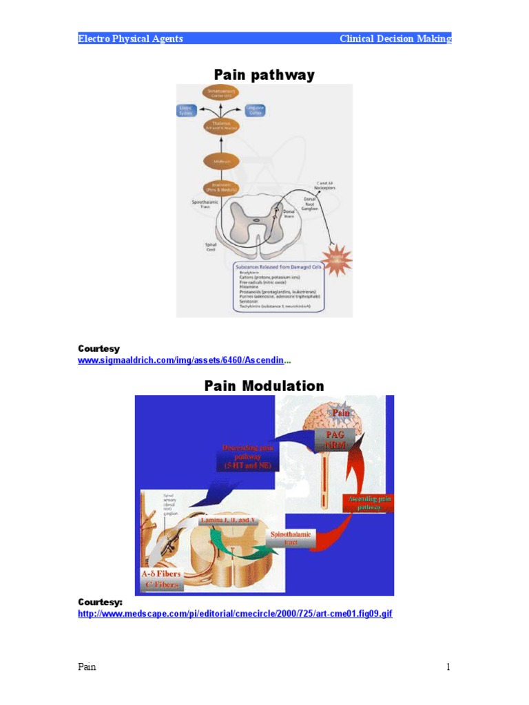Classification of Modalities | PDF | Technology & Engineering
