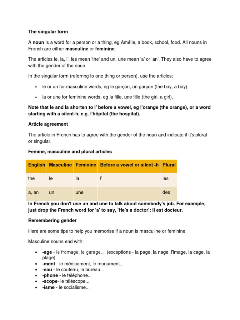 French Noun Gender and Articles Guide | PDF