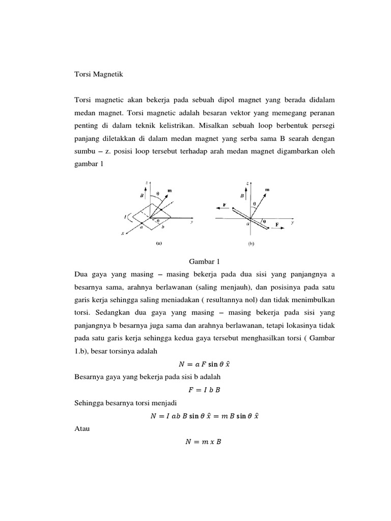 Torsi Magnetik | PDF | Sains & Matematika
