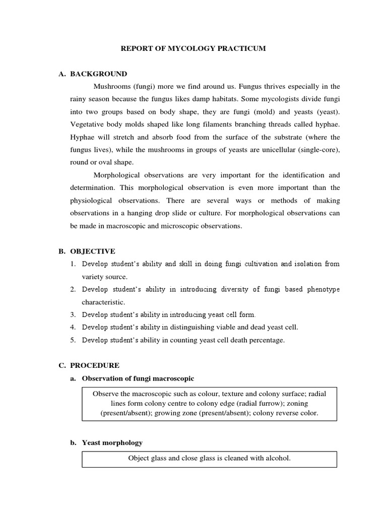 Report of Mycology Practicum | Download Free PDF | Mushroom | Fungus