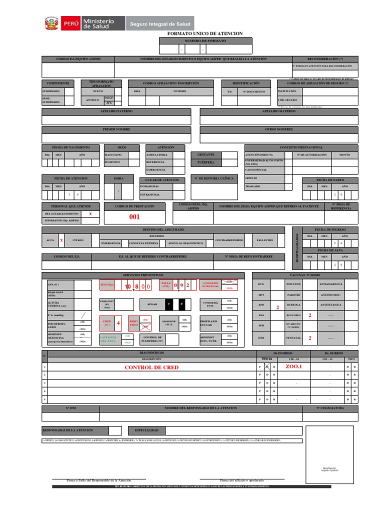 Formato Unico Atencion-EnFERMERIA