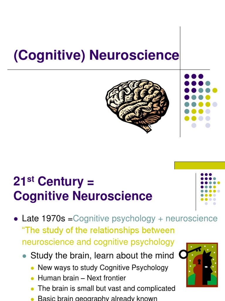 Cognitive Neuroscience | PDF | Chemical Synapse | Neuron