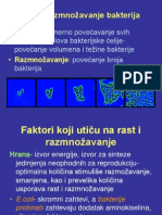 Balkan Original Pravila | PDF