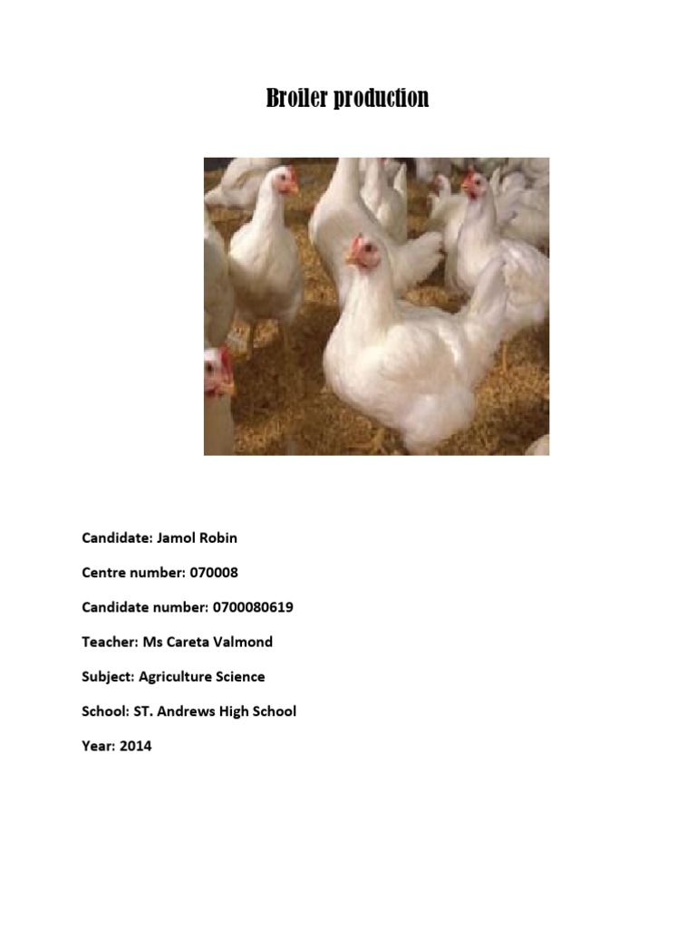 Broiler Production | PDF | Technology & Engineering