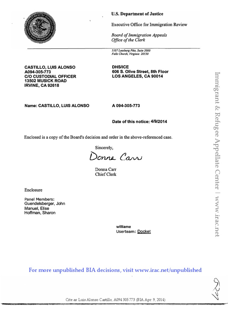 BIA Appeal Decision: Luis Castillo | PDF | Removal Proceedings | Public Law