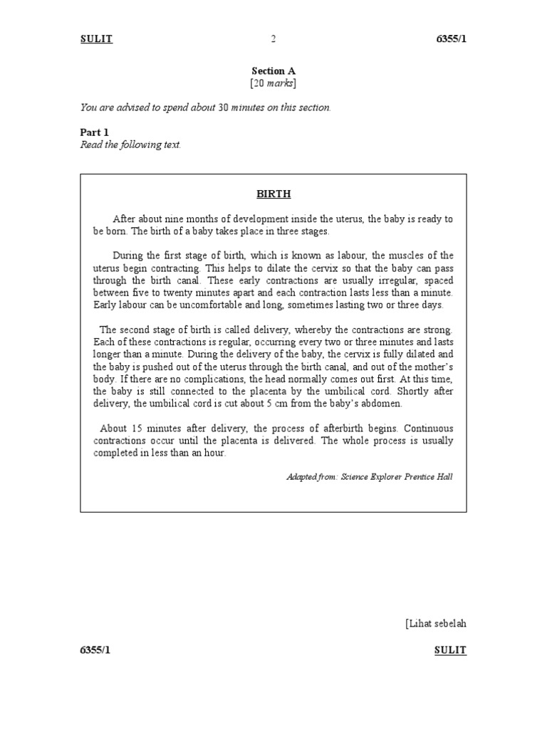 Stages of Childbirth Explained | PDF | Childbirth | Medical Specialties