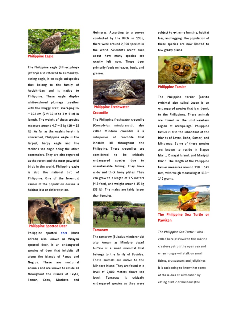 Endangered and Endemic Species | PDF | Sea Turtle | Conservation