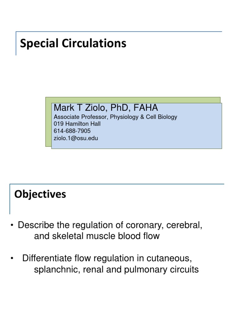 Special Circulations Pdf Coronary Circulation Circulatory System