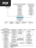 Pathway CA Colon | PDF