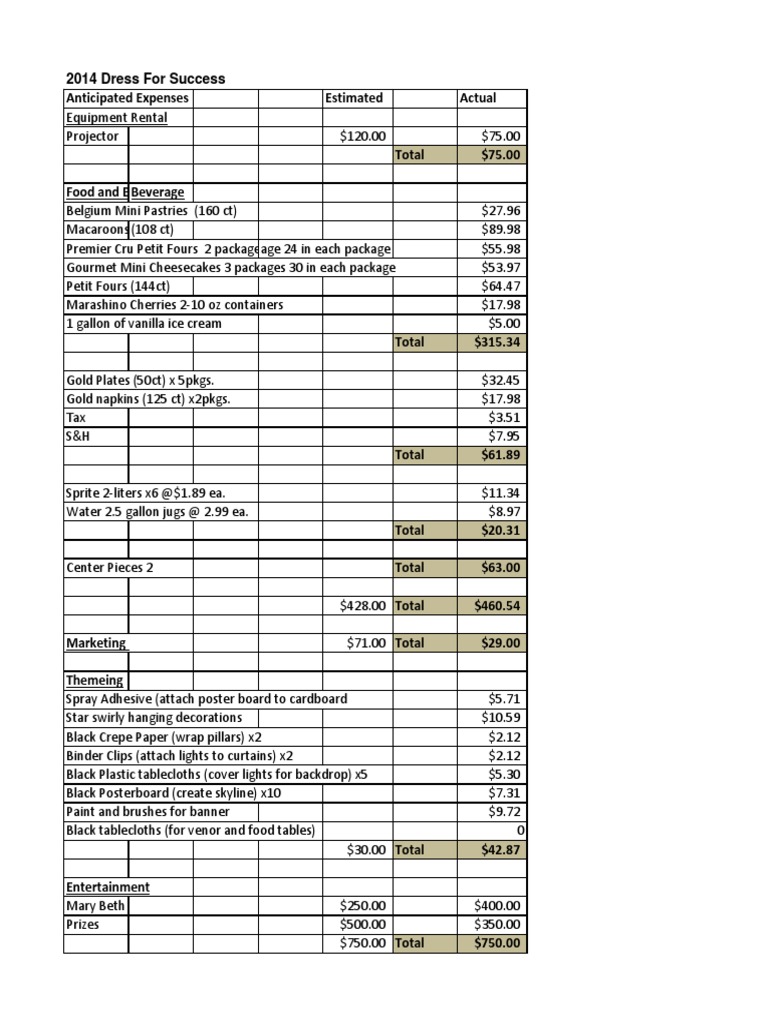 Dress For Success Final Budget Report | PDF