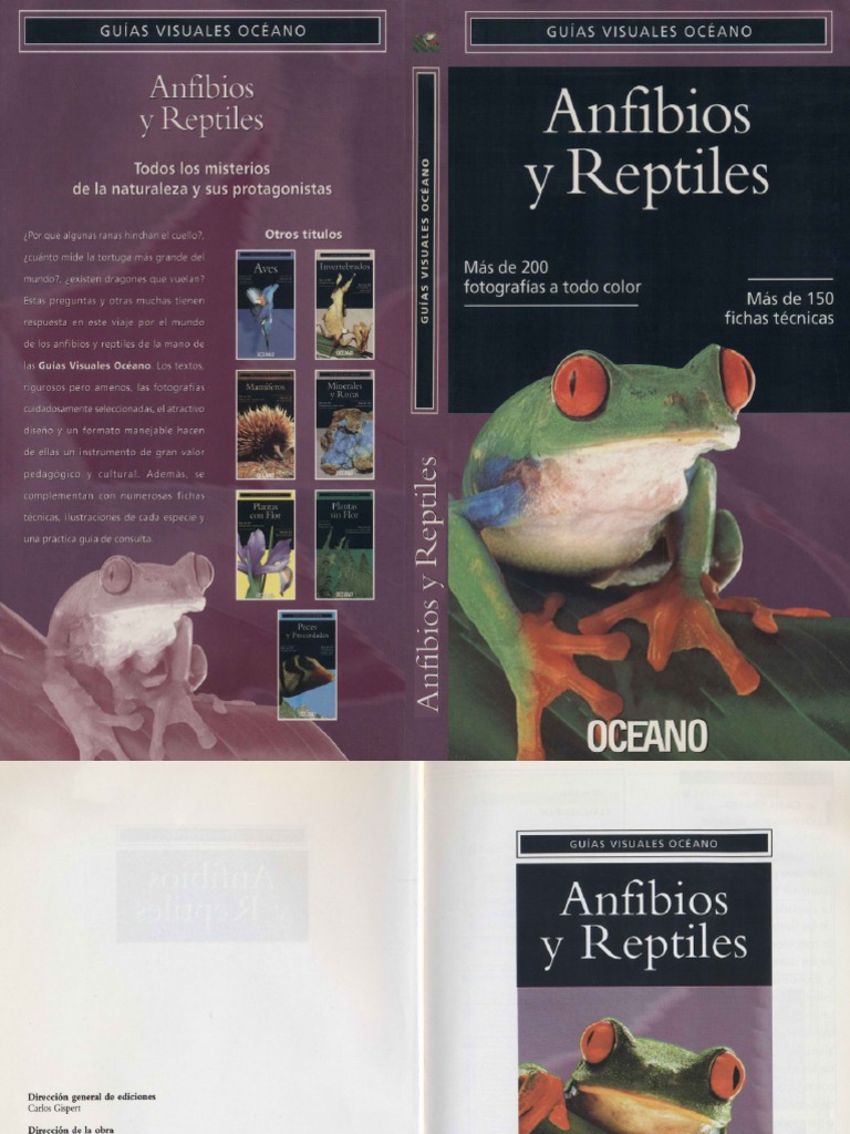 Animales - Anfibios y Reptiles | PDF