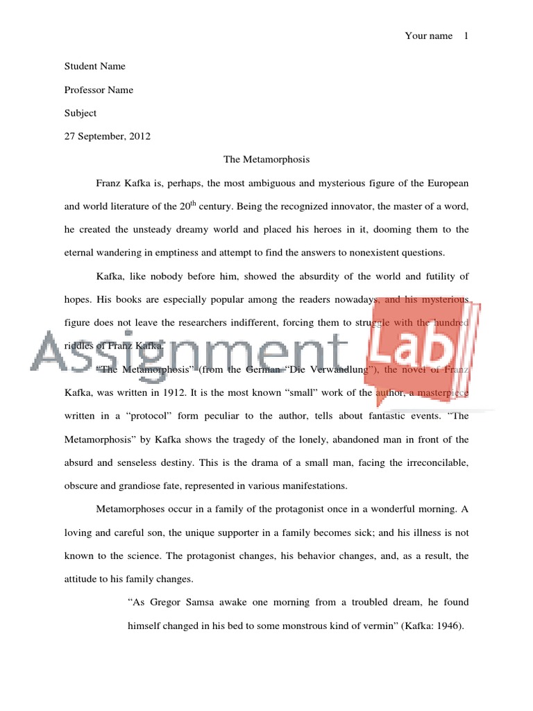 The Metamorphosis | PDF | The Metamorphosis | Franz Kafka