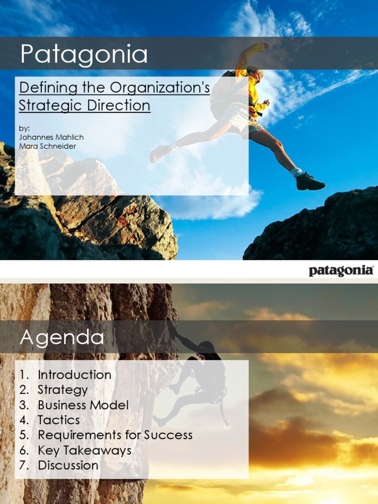 Patagonia: Defining The Organization's Strategic Direction | PDF ...