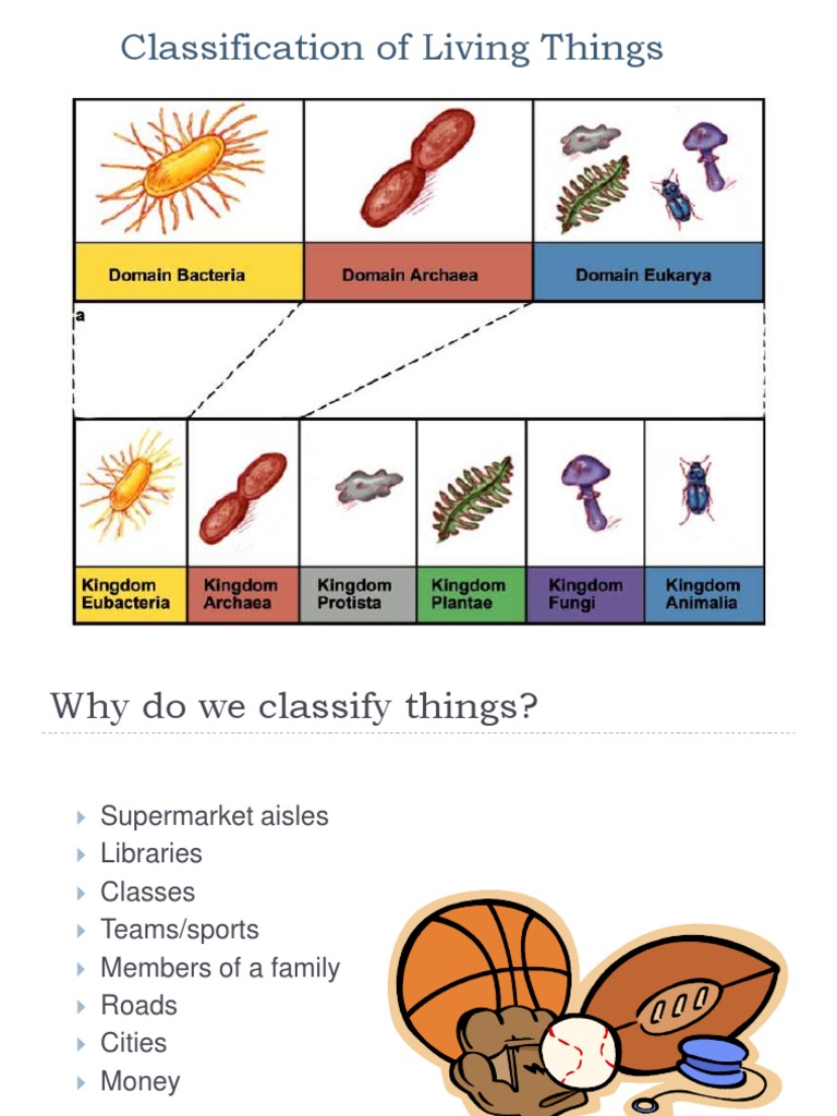Classification Notes | PDF | Taxonomy (Biology) | Organisms