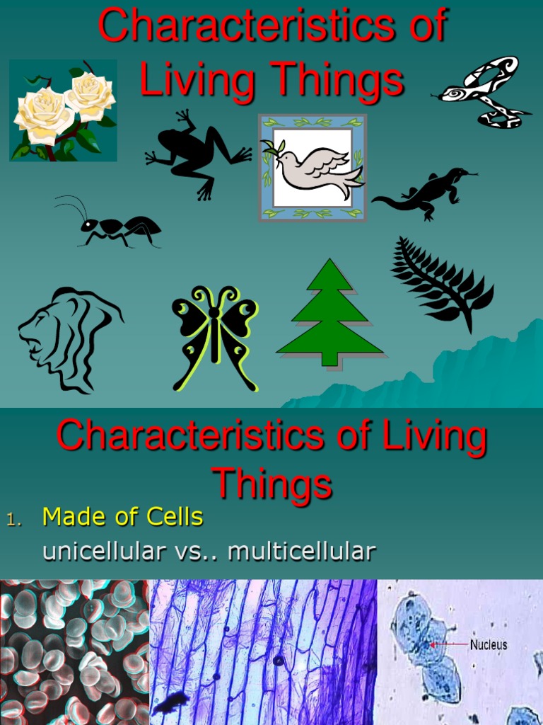 Characteristics of Living Things | Taxonomy (Biology) | Scientific ...