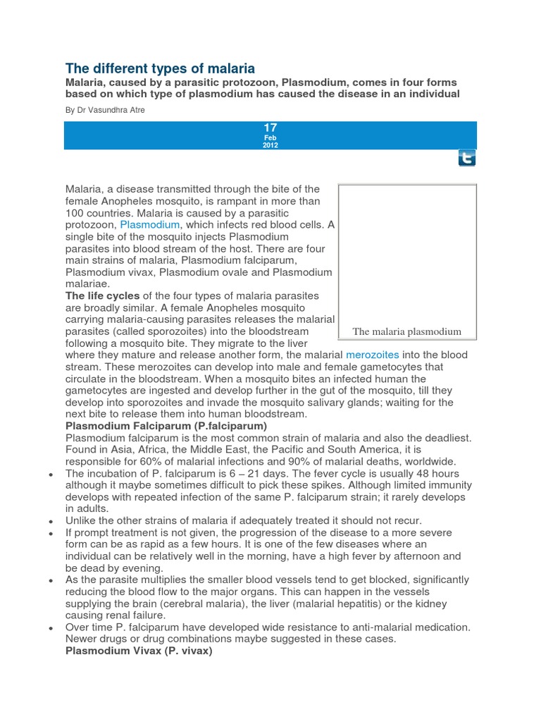 Understanding Malaria Types | PDF | Plasmodium | Plasmodium Falciparum