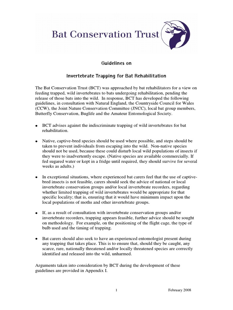 Guidelines On Invertebrate Trapping For Bat Rehabilitation: 1 February ...