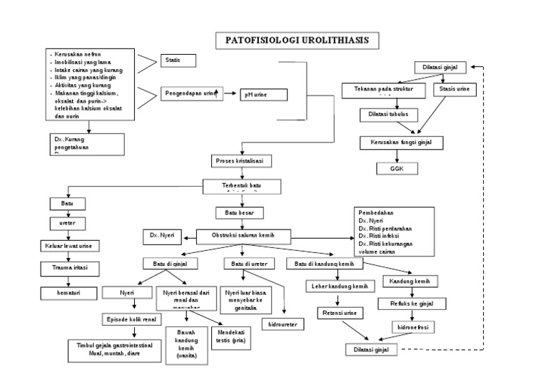 patofisiologi urolithiasis