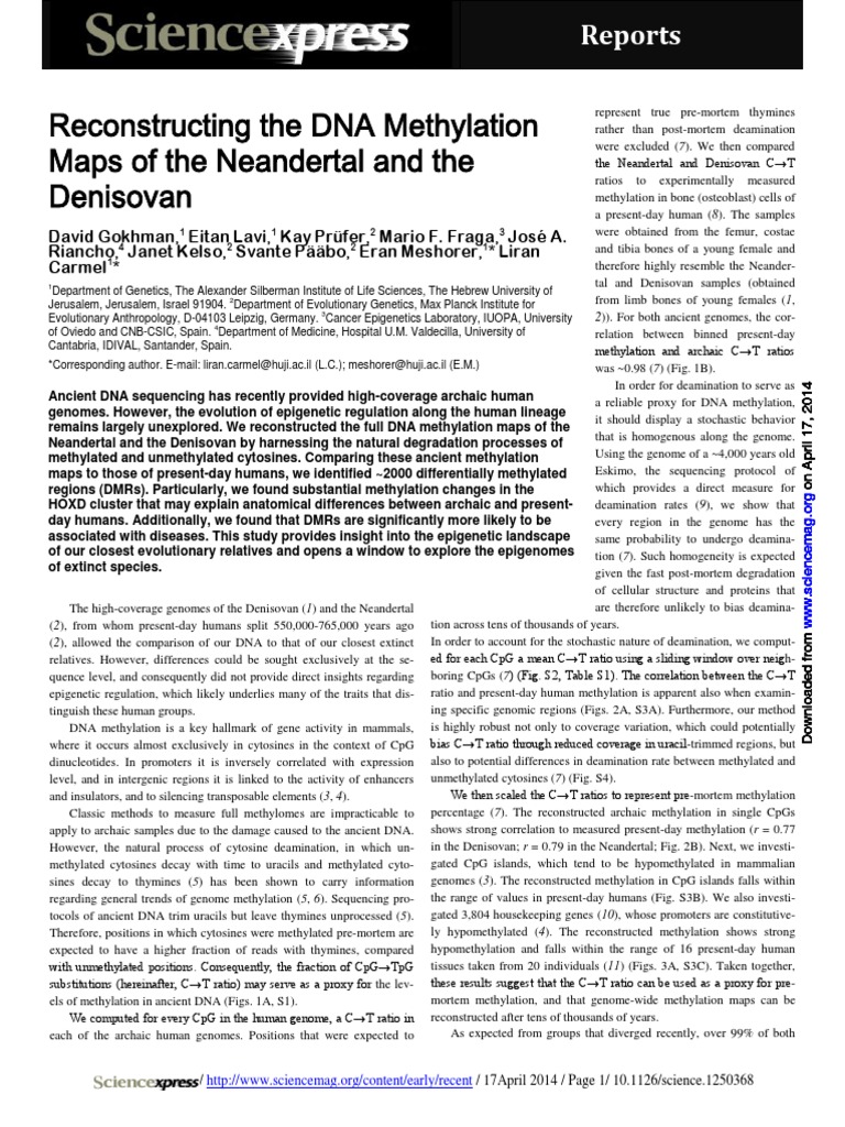 Reconstructing The DNA Methylation Maps of The Neandertal and The Denisovan | PDF | Dna ...