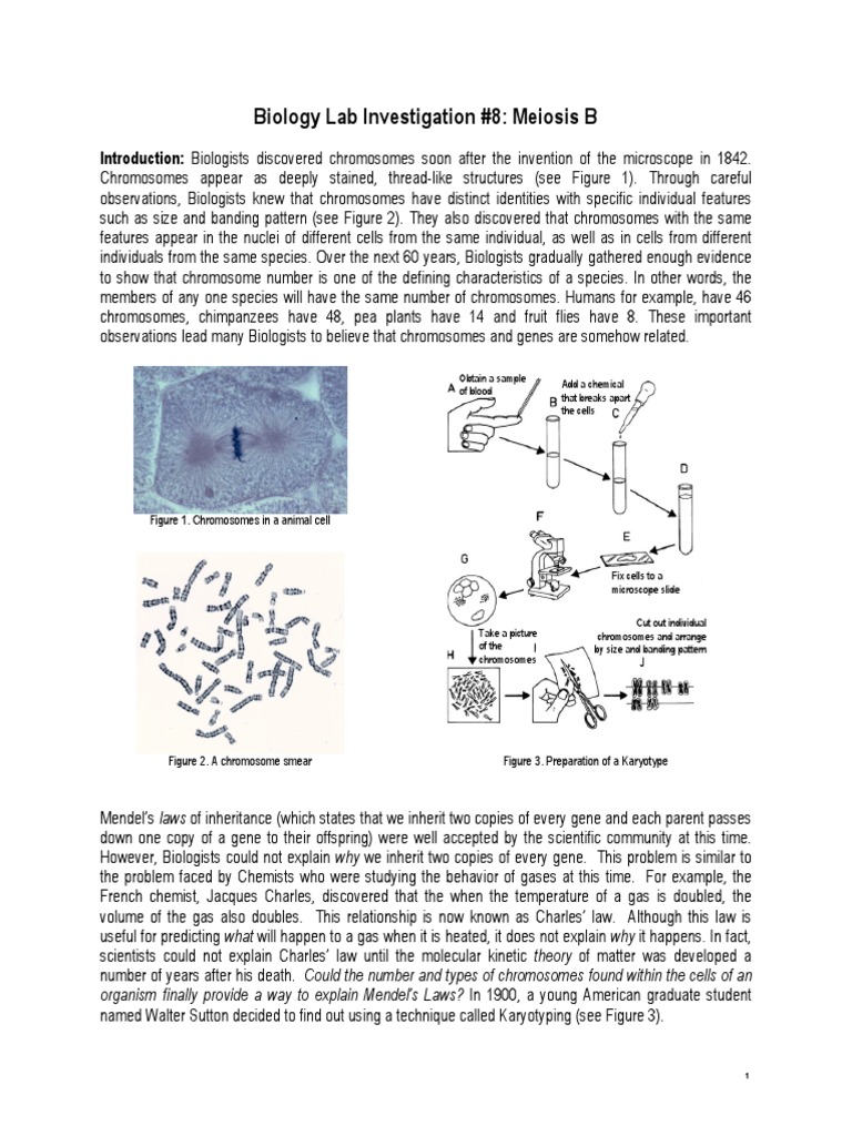 Karyotyping and Genetic Disorders Analysis | PDF | Karyotype | Chromosome
