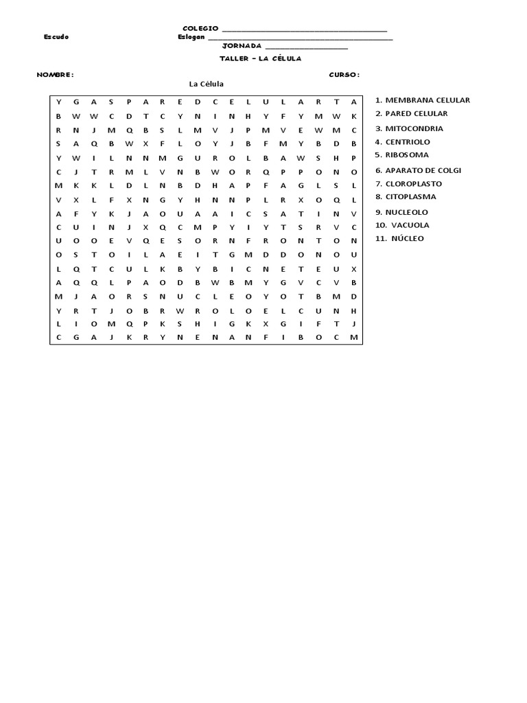 1 Sopa de Letras - La Celula | PDF