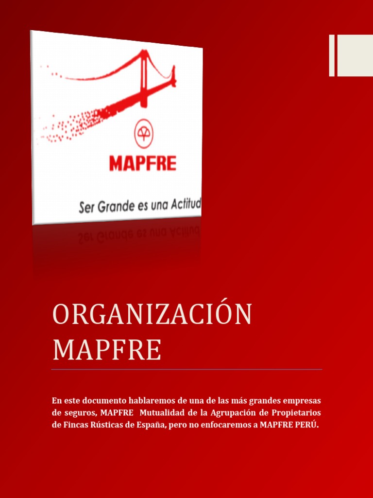 Mapfre Trabajo Final Org Por Procesos | PDF | Contabilidad | Seguro