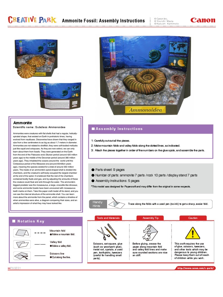 Fossil-Ammonite I e A4 | PDF | Science | Paleontology