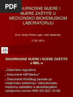 Primjer Izjave | PDF