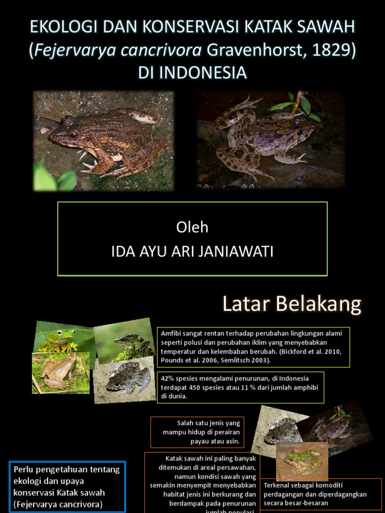Ekologi Dan Konservasi Katak Sawah Di Indonesia | PDF