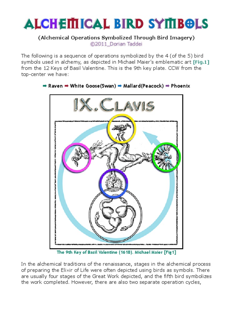 Alchemical Operations Symbolized Through Bird Imagery | Alchemy | Ammonia